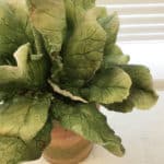 Ceramic Restoration | Premier Ceramic Restoration Services